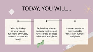 Pathogens and Communicable Diseases Education Presentation in Light ...