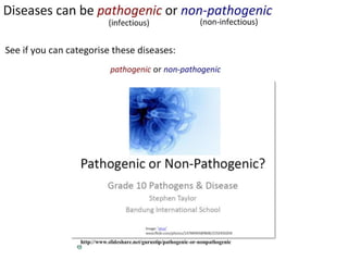 Pathogens and Disease (Grade 10) | PDF