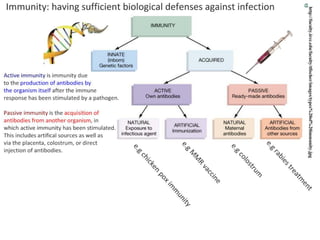 Pathogens and Disease (Grade 10) | PPT