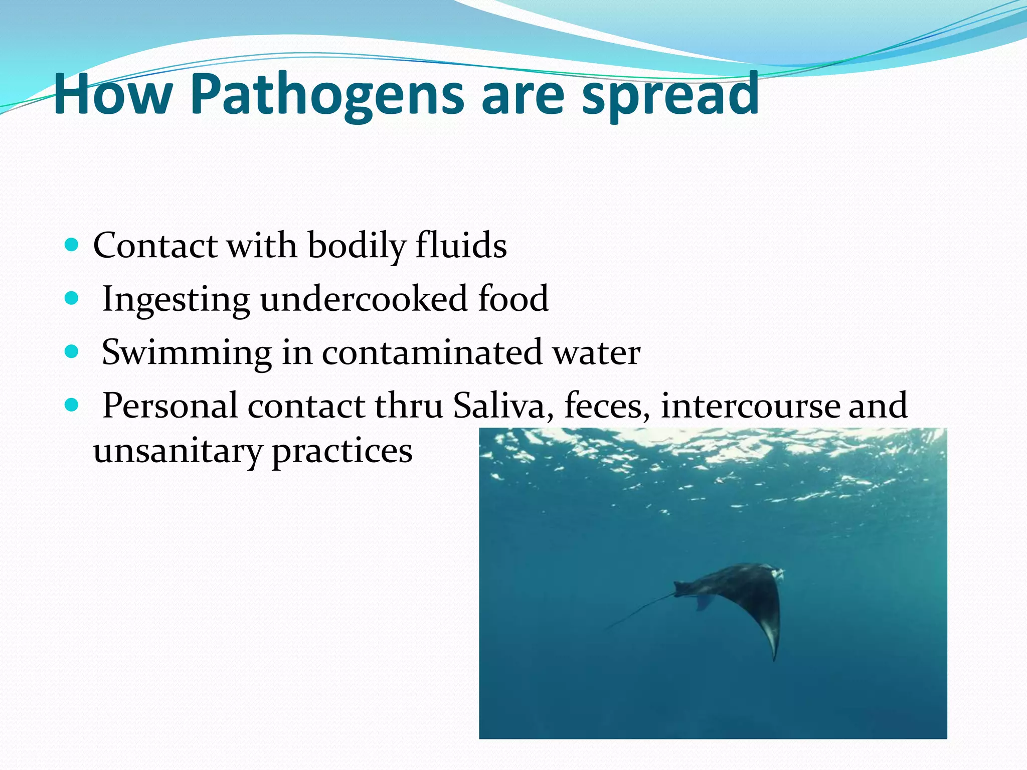 Pathogens, immunity & inflammations | PPTX