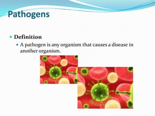 Pathogens, immunity & inflammations | PPTX