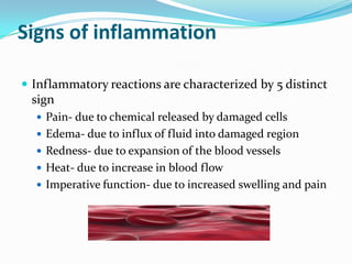 Pathogens, immunity & inflammations | PPTX
