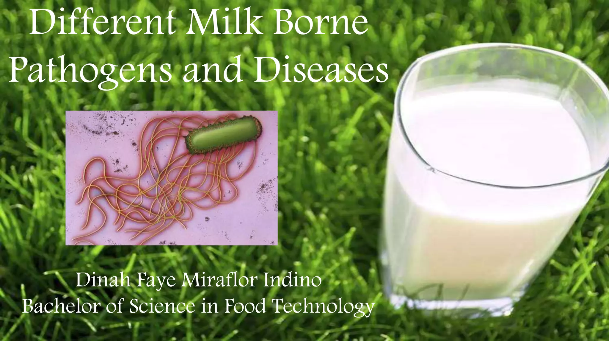 Pathogens in milk | PPT