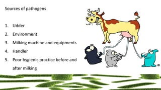 Pathogens in milk | PPTX