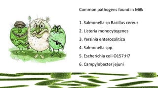 Pathogens in milk | PPTX