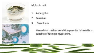 Pathogens in milk | PPTX