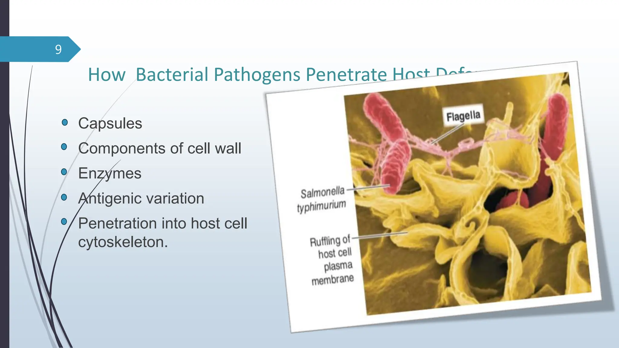 Pathogens of microorganisms on microbiology.pptx