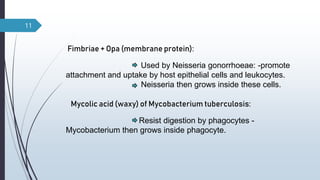 Pathogens of microorganisms on microbiology.pptx
