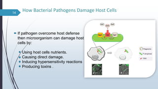 Pathogens of microorganisms on microbiology.pptx