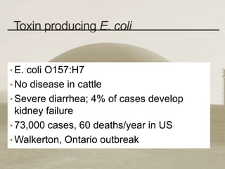 Impacts of Anaerobic Digestion and Solid Liquid Separation on Pathogen ...