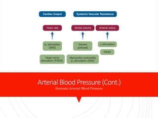 Patho Hypo Hypertension | PPT
