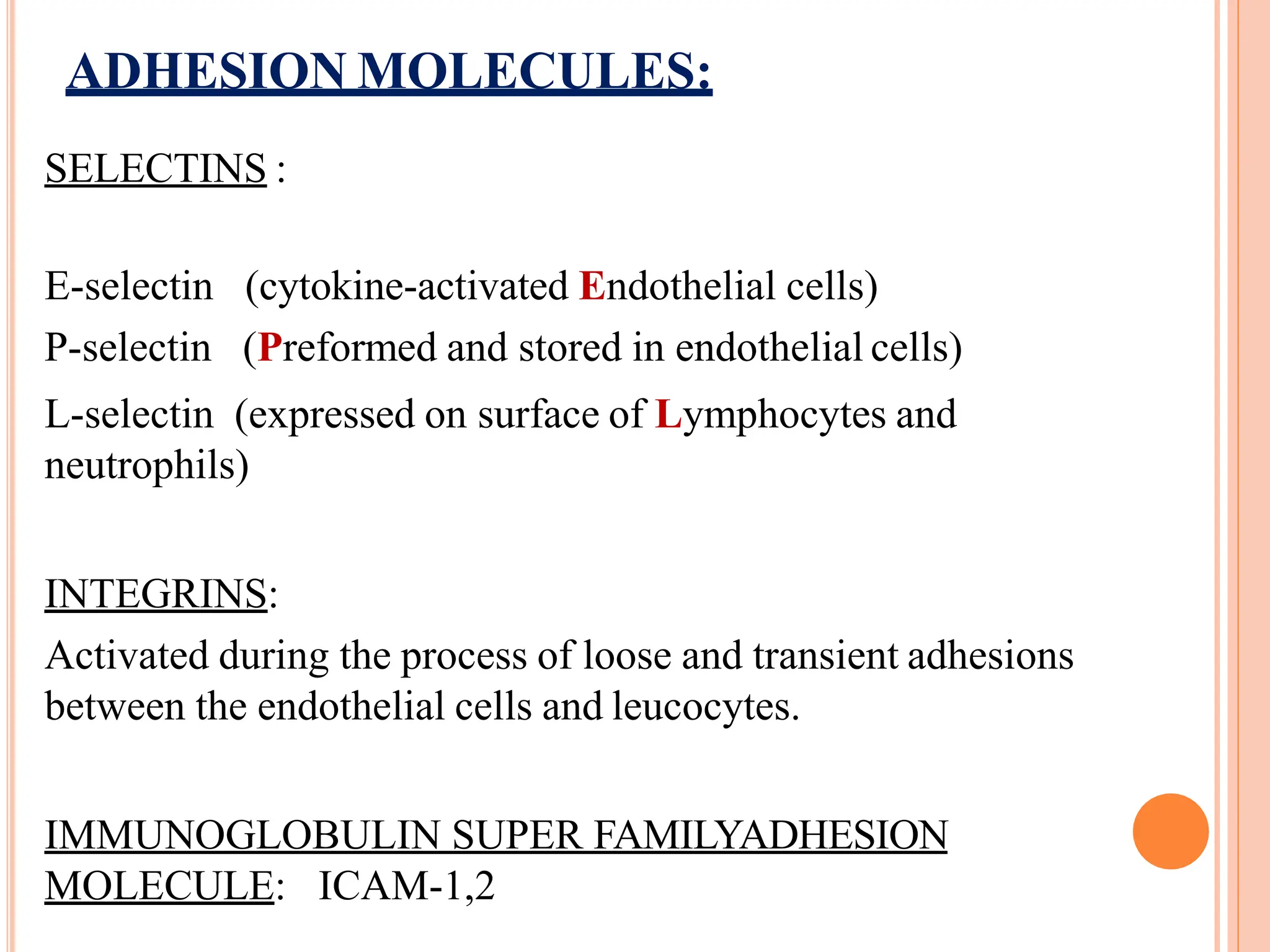 pathoinflammation-190307150750.pptx