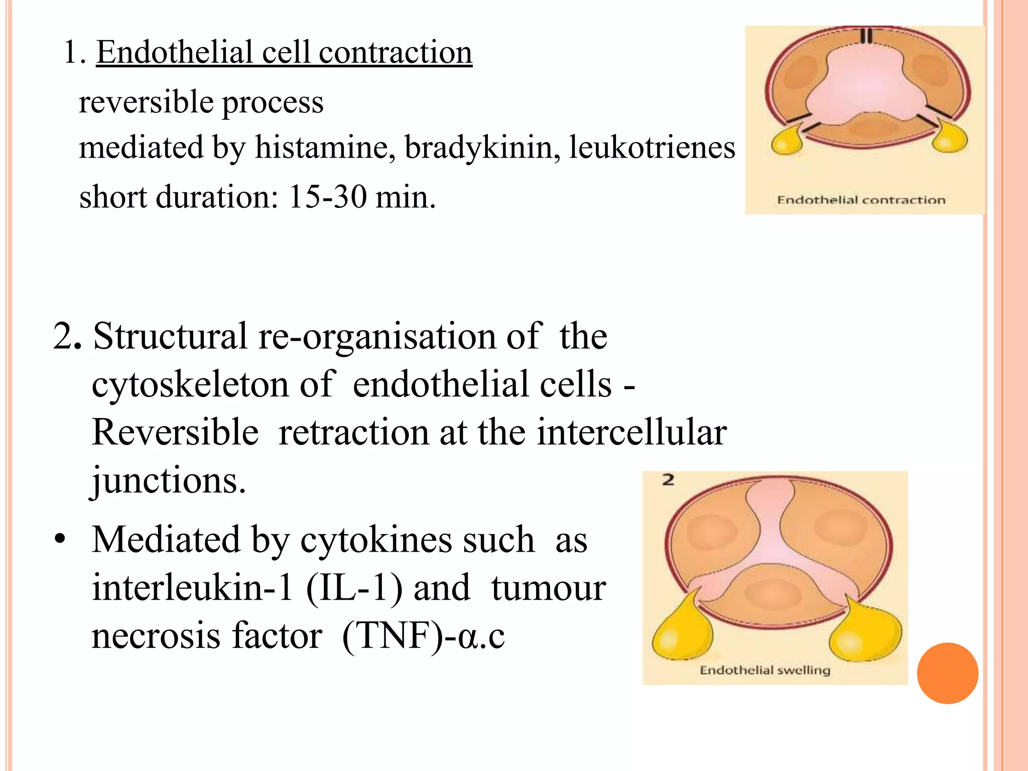 Patho inflammation | PPTX