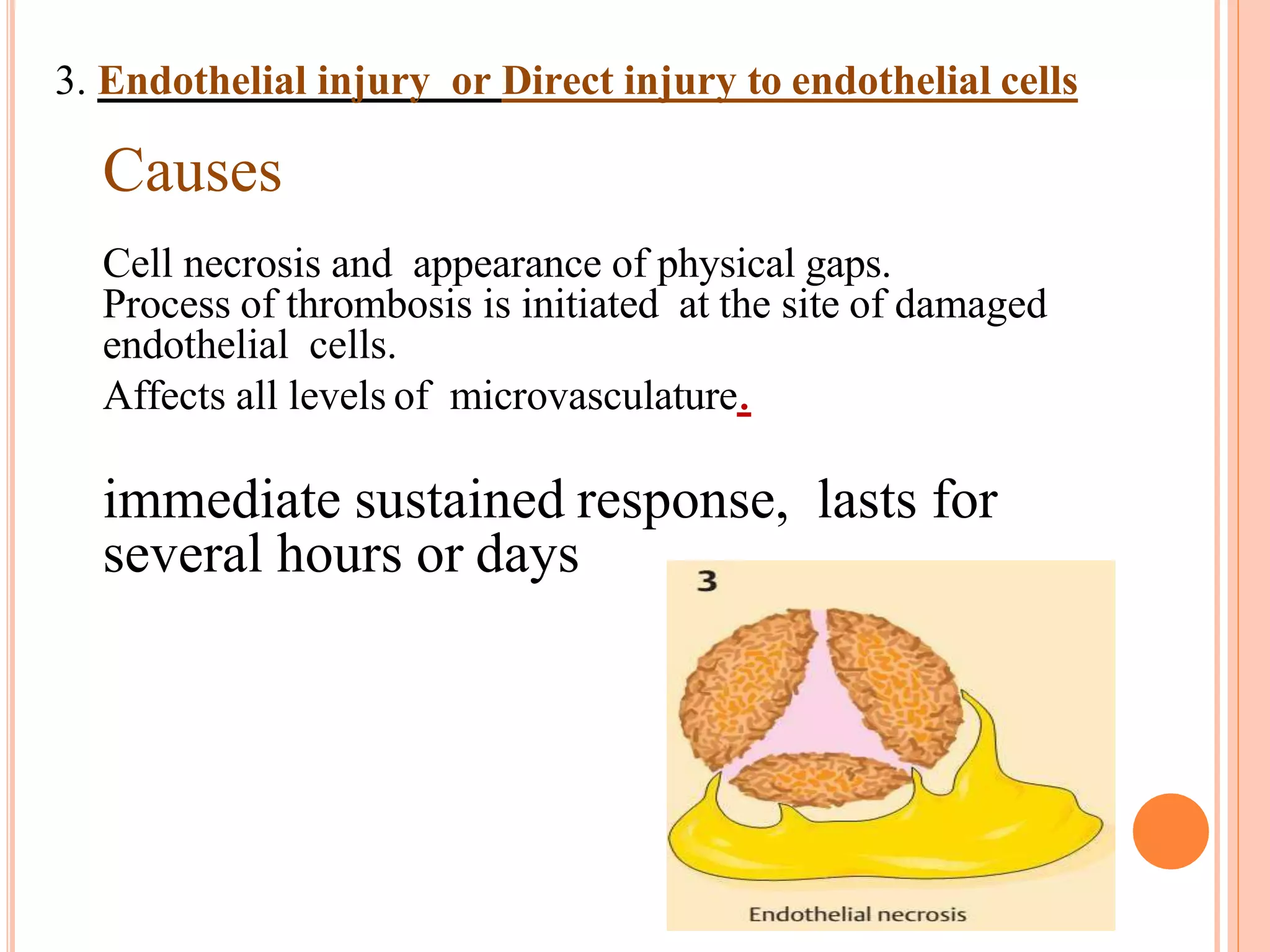 Patho inflammation | PPTX