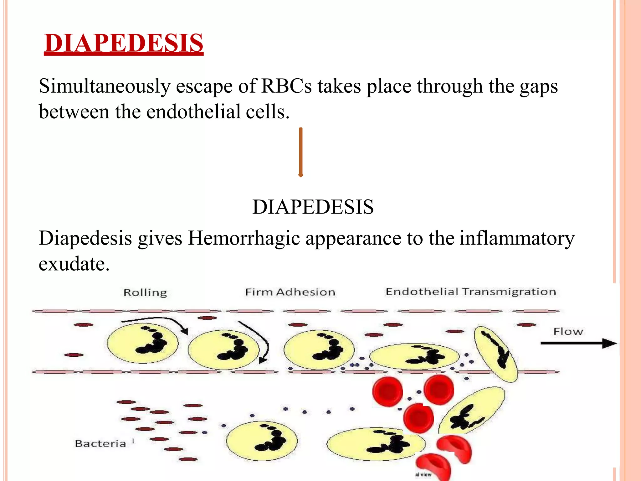 Patho inflammation | PPTX