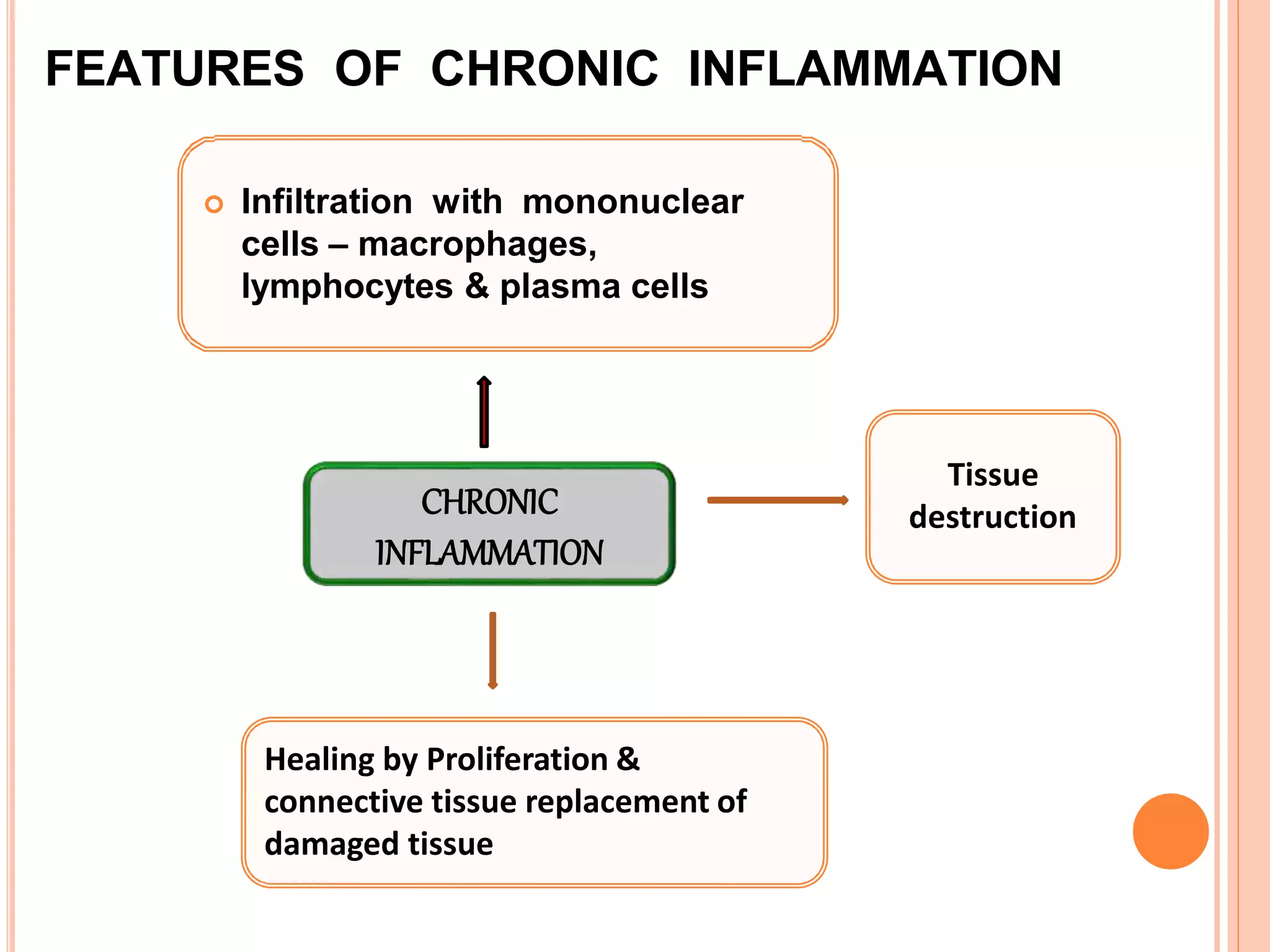Patho inflammation | PPTX