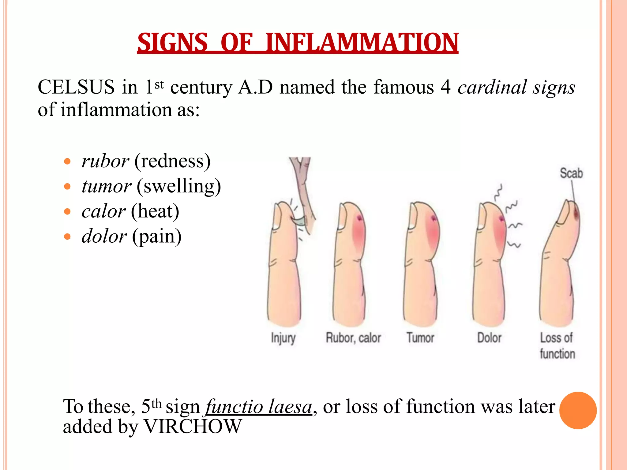 Patho inflammation | PPTX