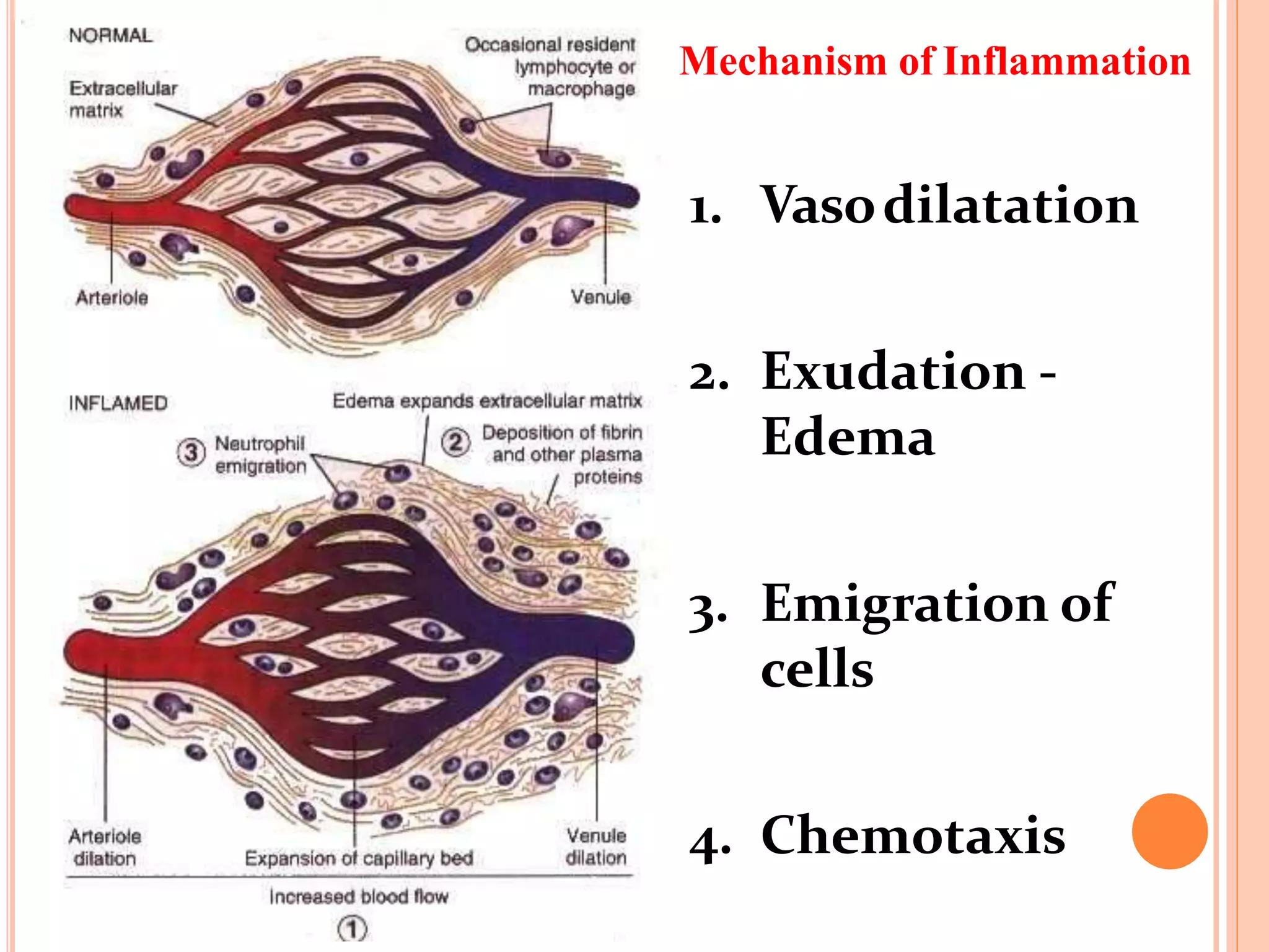 Patho inflammation | PPTX