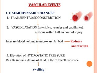 Patho inflammation | PPTX