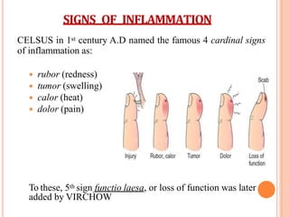 Patho inflammation | PPTX