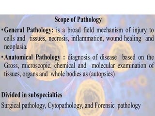 pathology intro for pharmd subject ppt.pptx