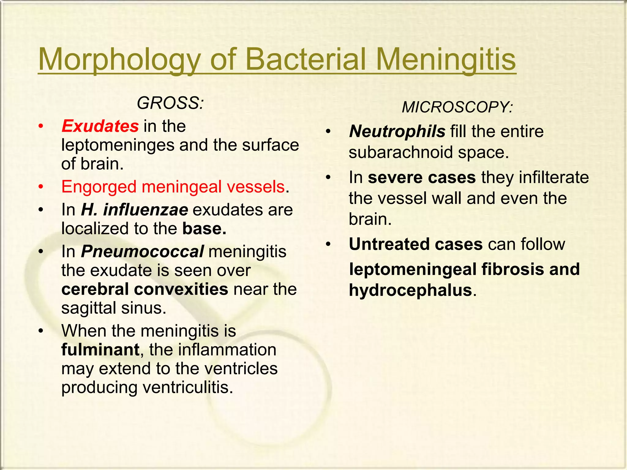 meningitis | PPTX
