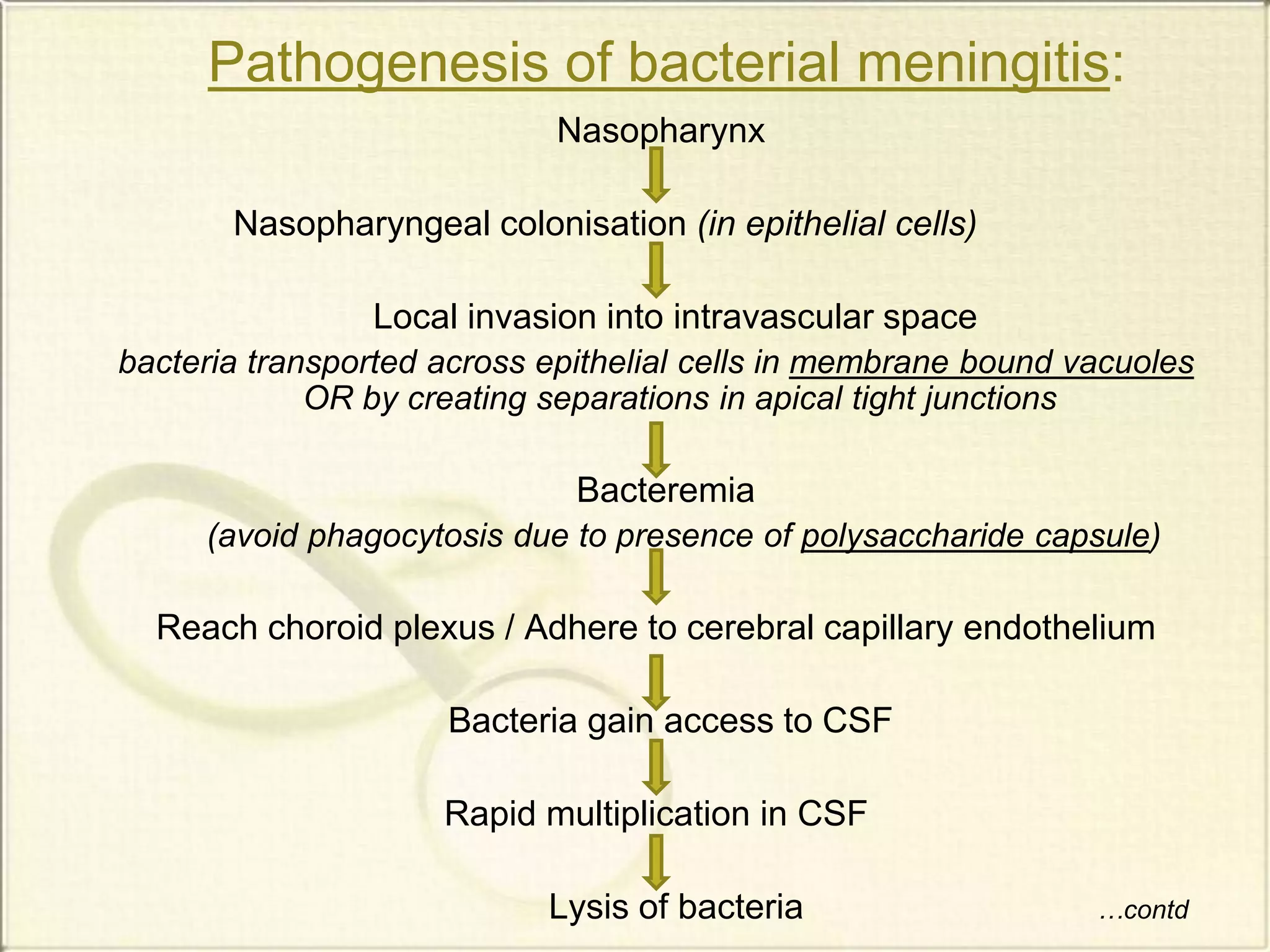 meningitis | PPTX