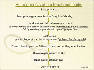 meningitis | PPTX