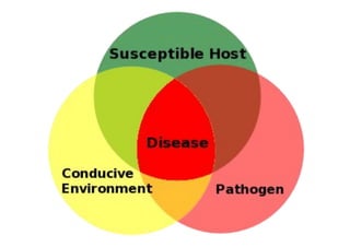 Bio 134 Pathology Introduction Part 2 | PPT