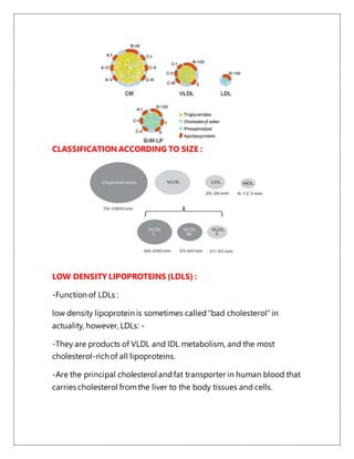 lipoprotein | DOCX