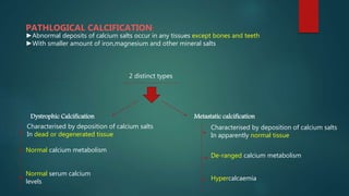 Pathological Calcification | PPTX