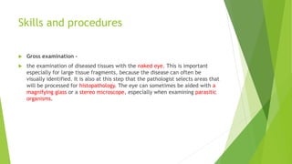 Pathological anatomy intro | PPTX