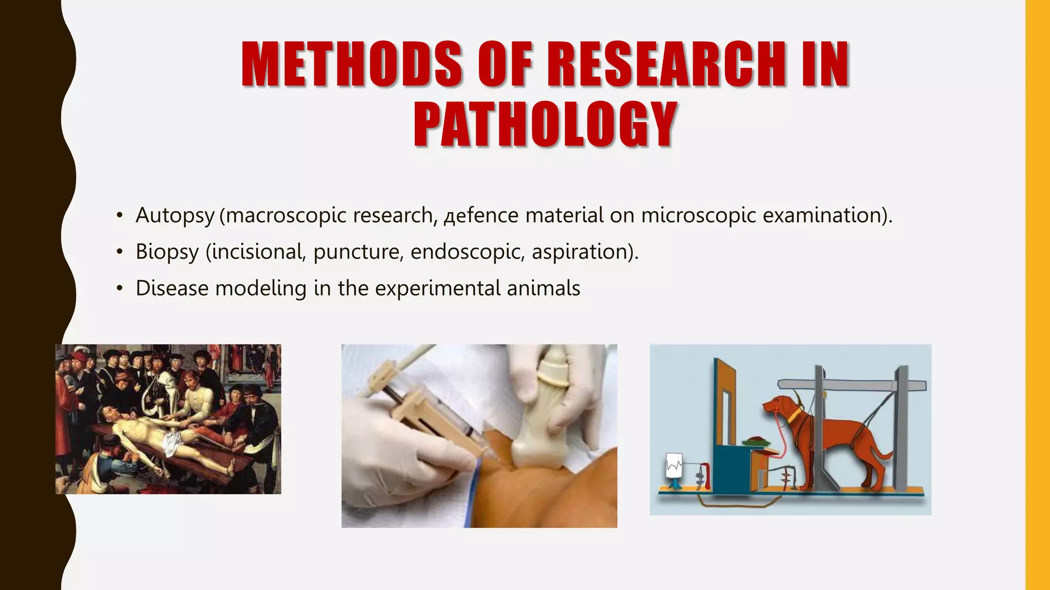 Pathological Anatomy Introduction.pptx