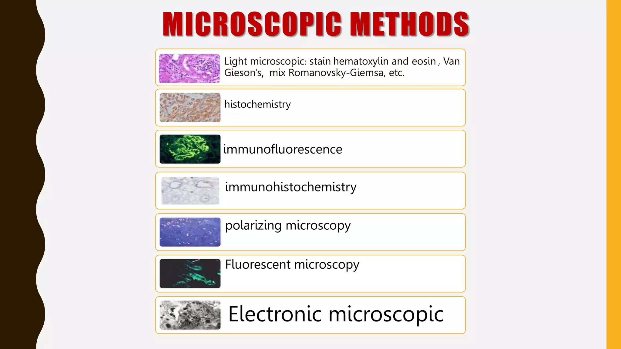 Pathological Anatomy Introduction.pptx