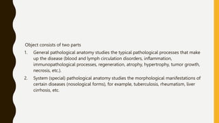 Pathological Anatomy Introduction.pptx