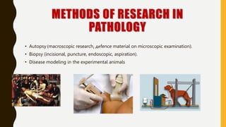 Pathological Anatomy Introduction.pptx