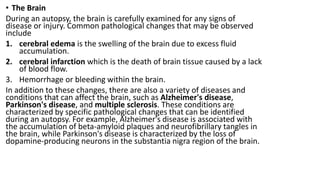 Pathological Changes in the Human Body during Autopsy.pptx | Free Download