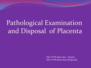 Pathological exam of placenta | PPT