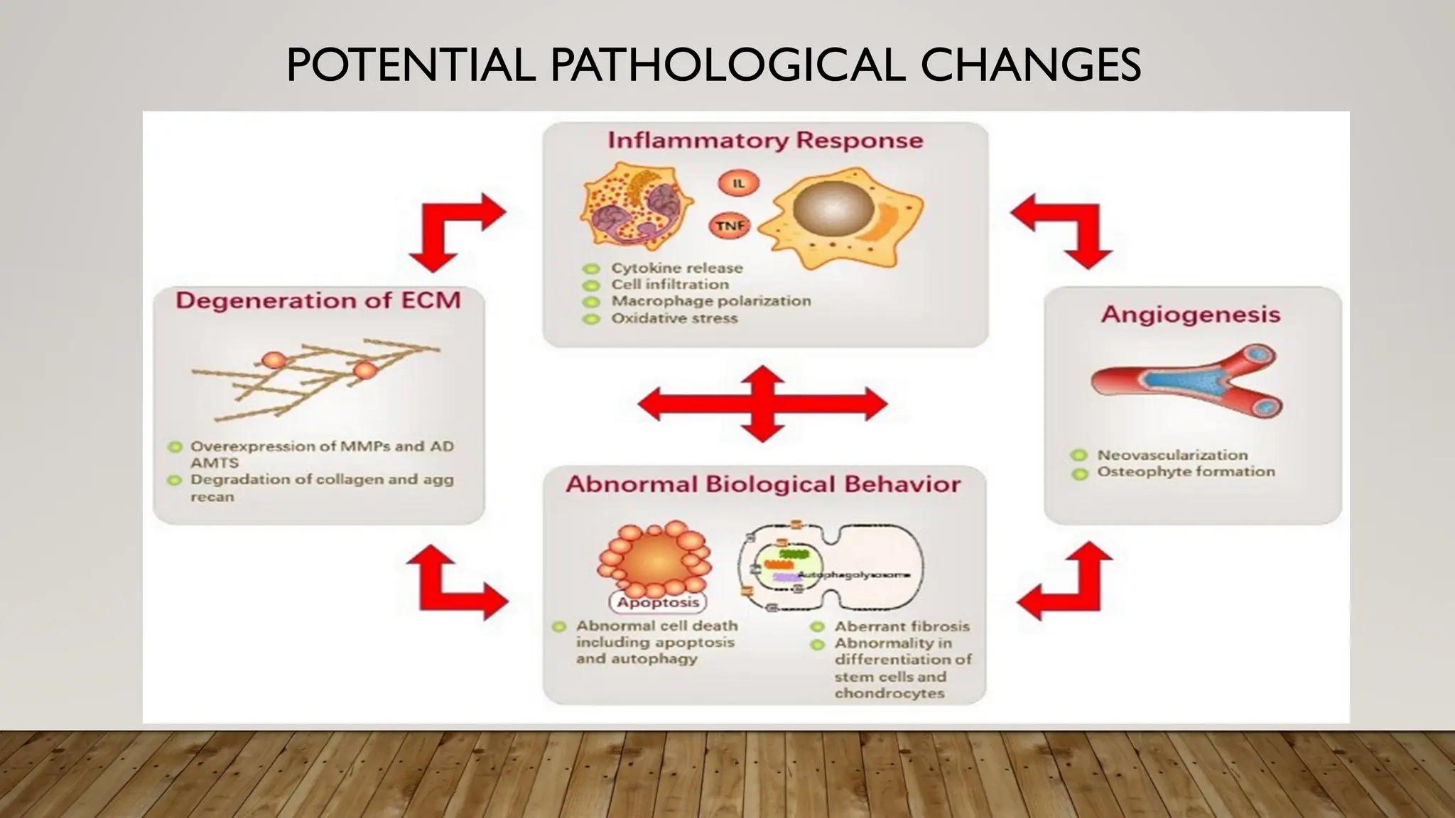 Pathological pathways in TMJ Osteoarthritis.pptx
