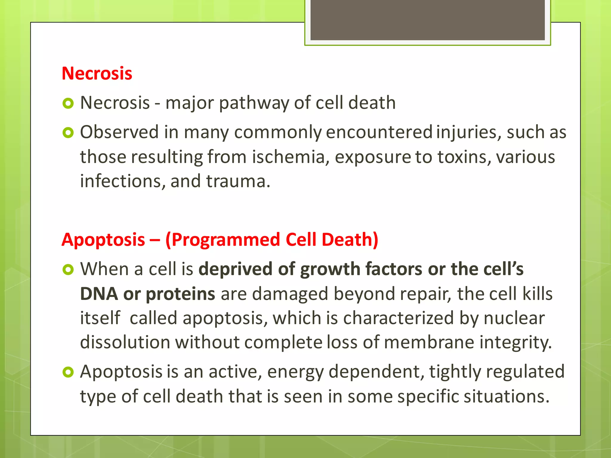 Pathological process of disease development process in fish | PDF