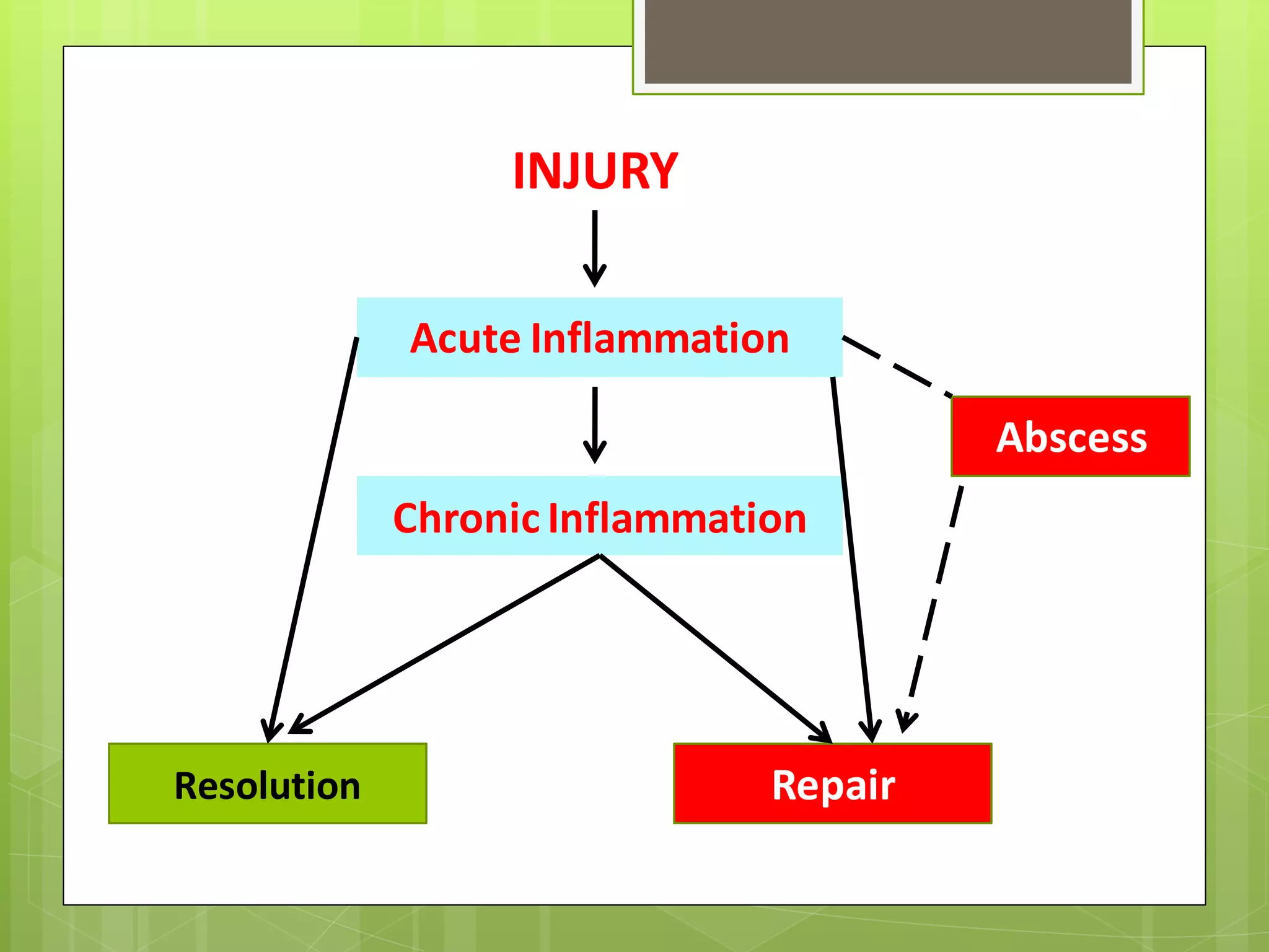 Pathological process of disease development process in fish | PDF