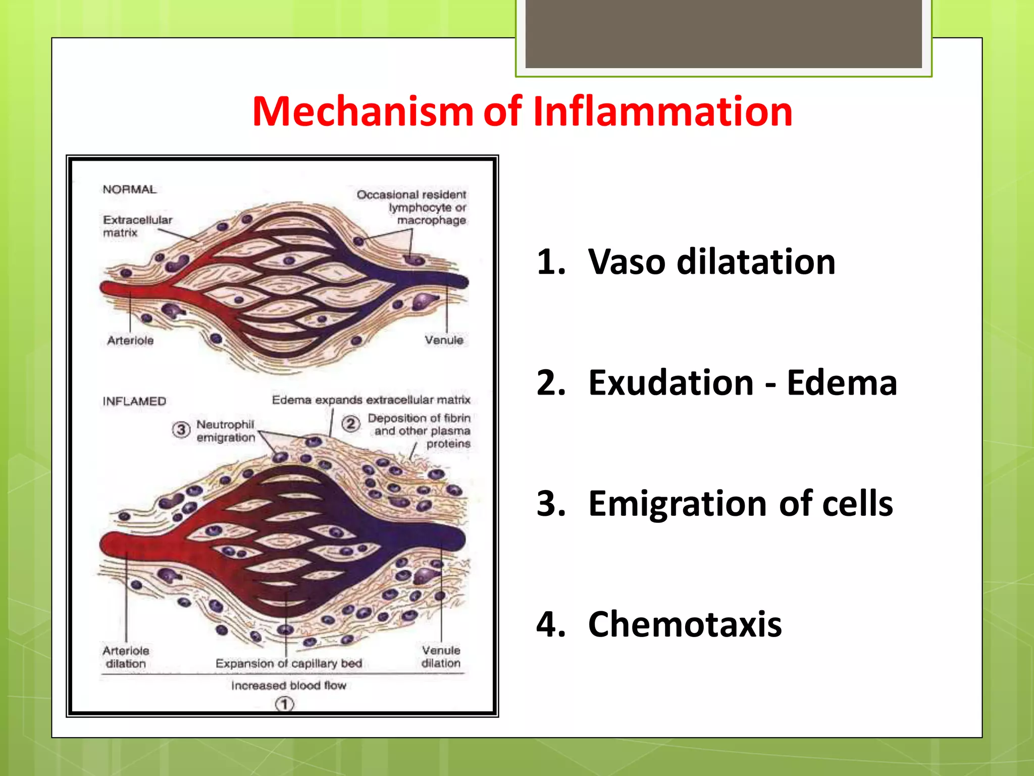 Pathological process of disease development process in fish | PDF