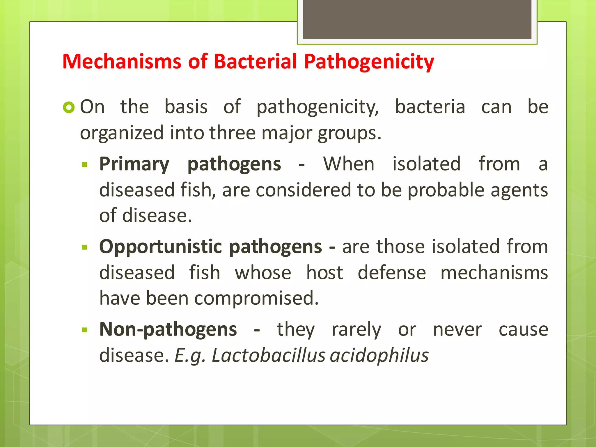 Pathological process of disease development process in fish | PDF