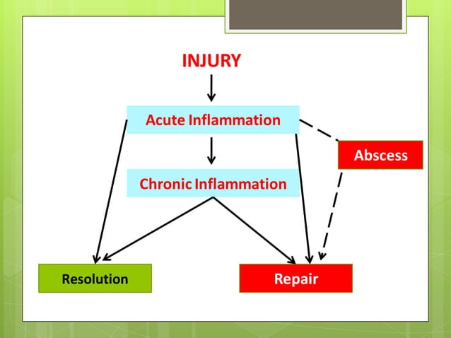 Pathological process of disease development process in fish | PDF