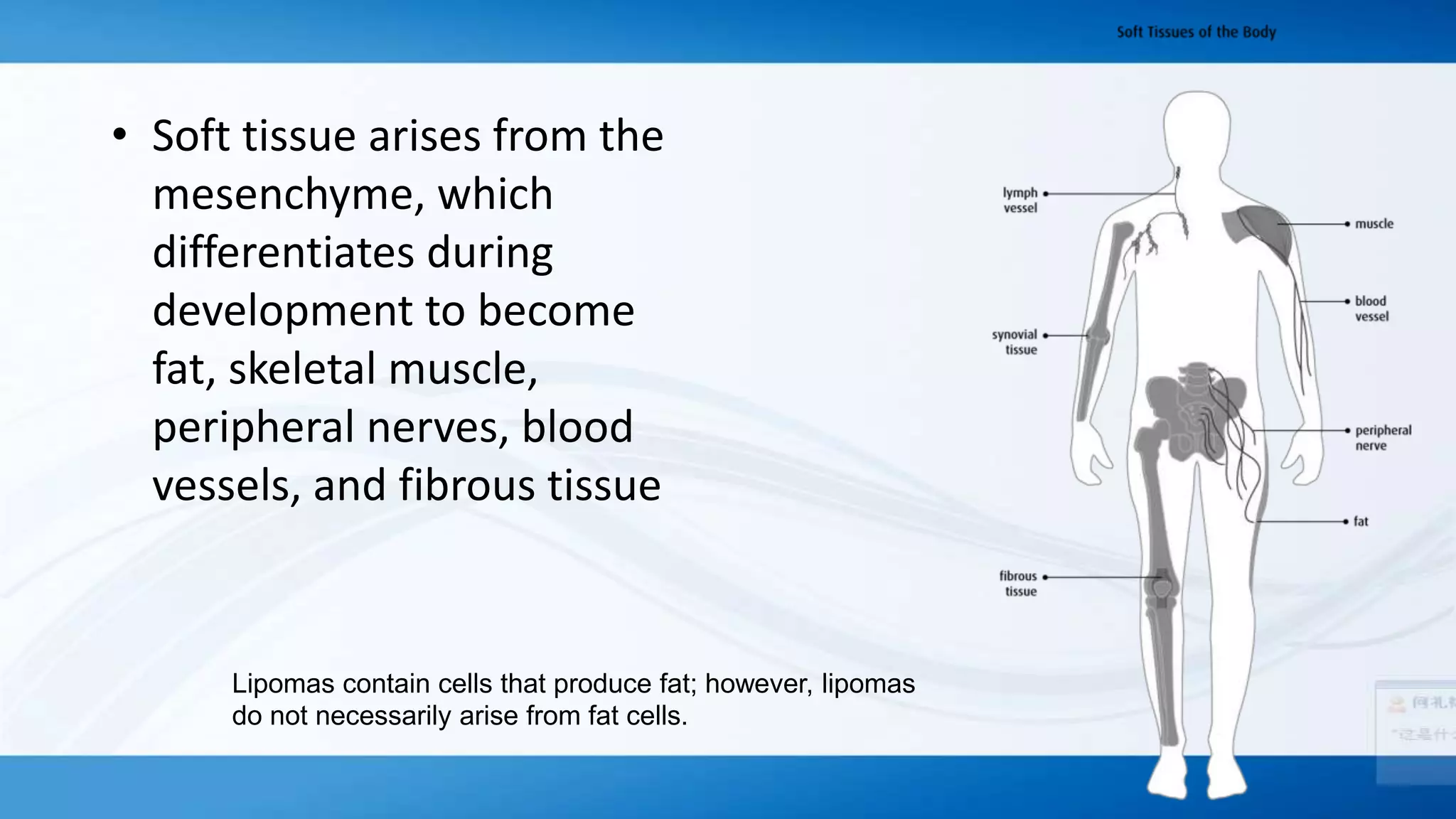 Pathological significance of soft tissue and fat planes | PPTX