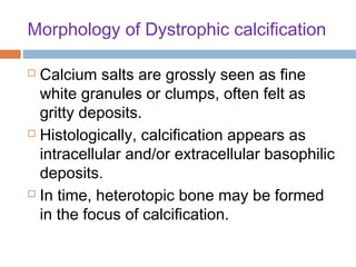 Pathologic calcification | PPT