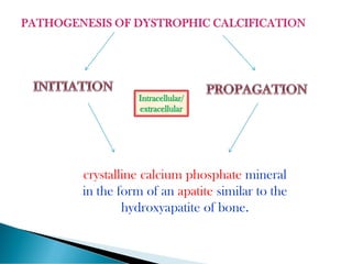 PATHOLOGIC CALCIFICATION.pdf of pathology | PDF