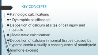 Pathologic calcification | PPT