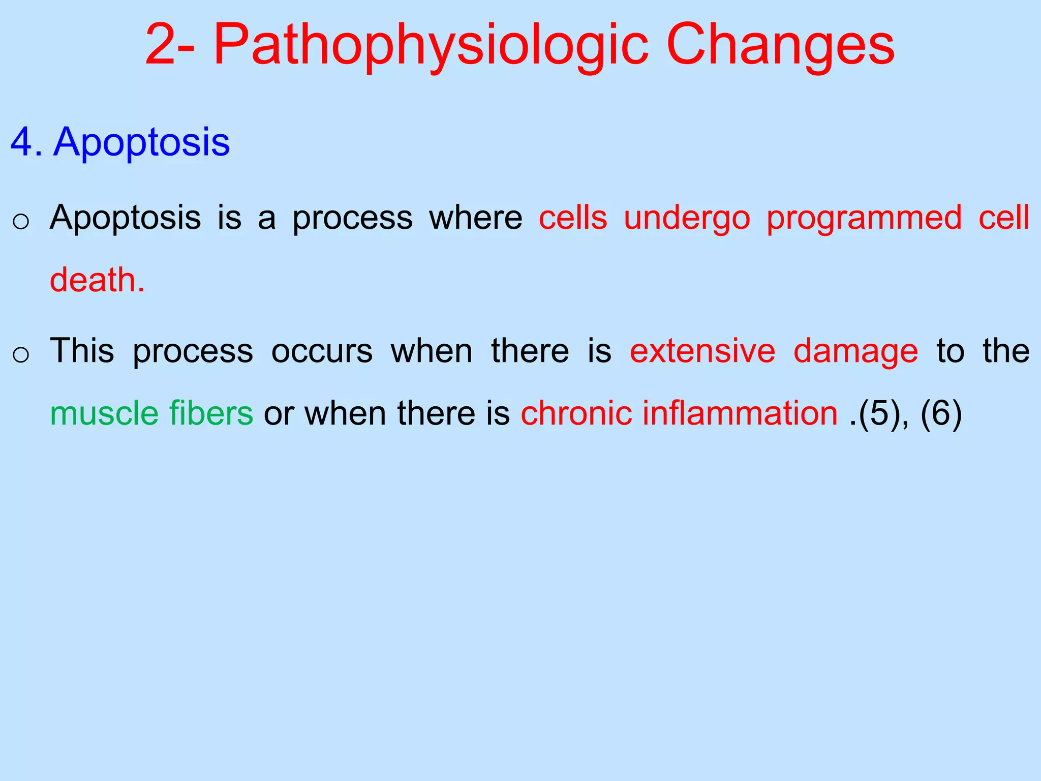 pathologic changes of muscle in injury.ppt