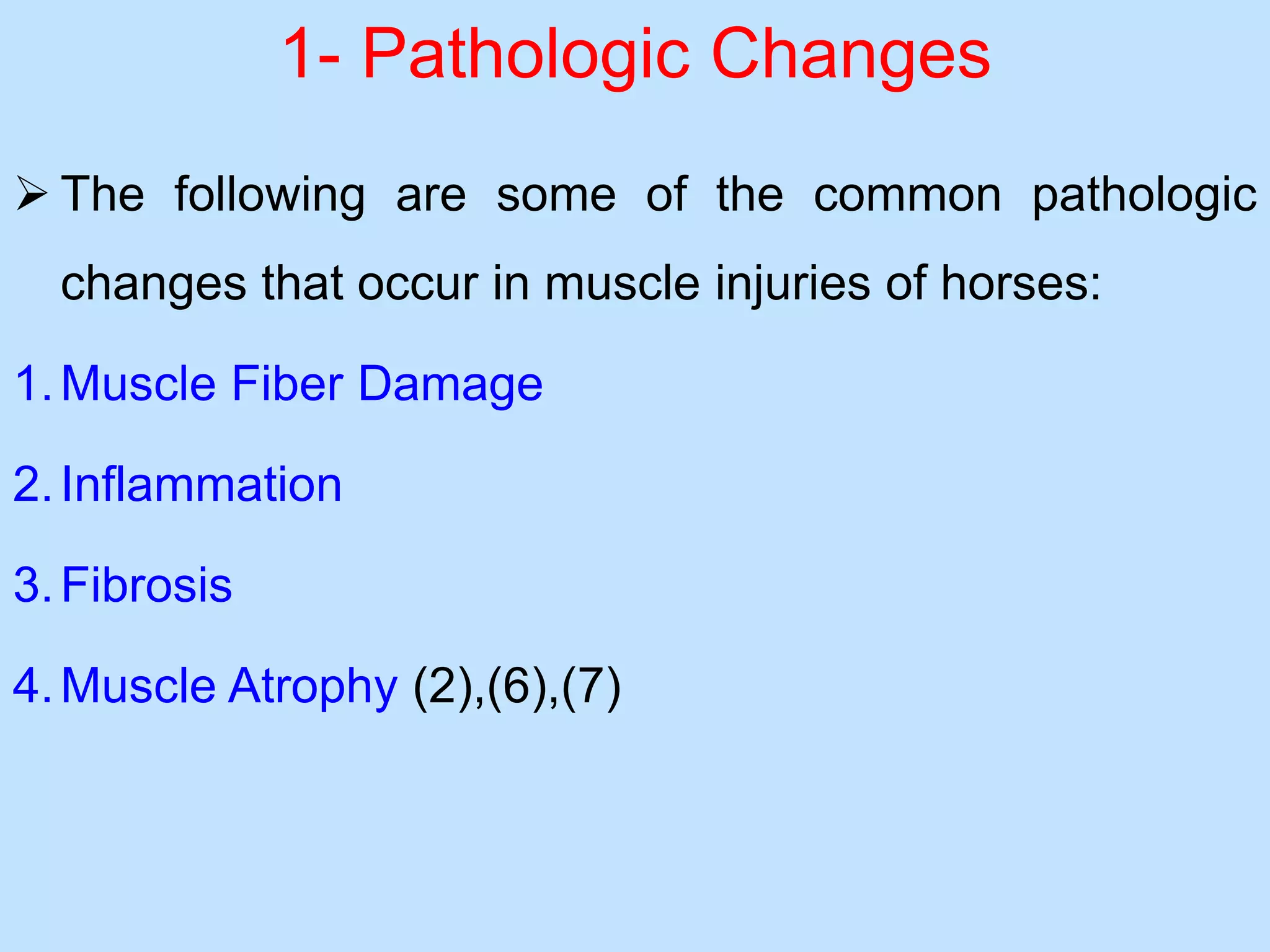 pathologic changes of muscle in injury.ppt